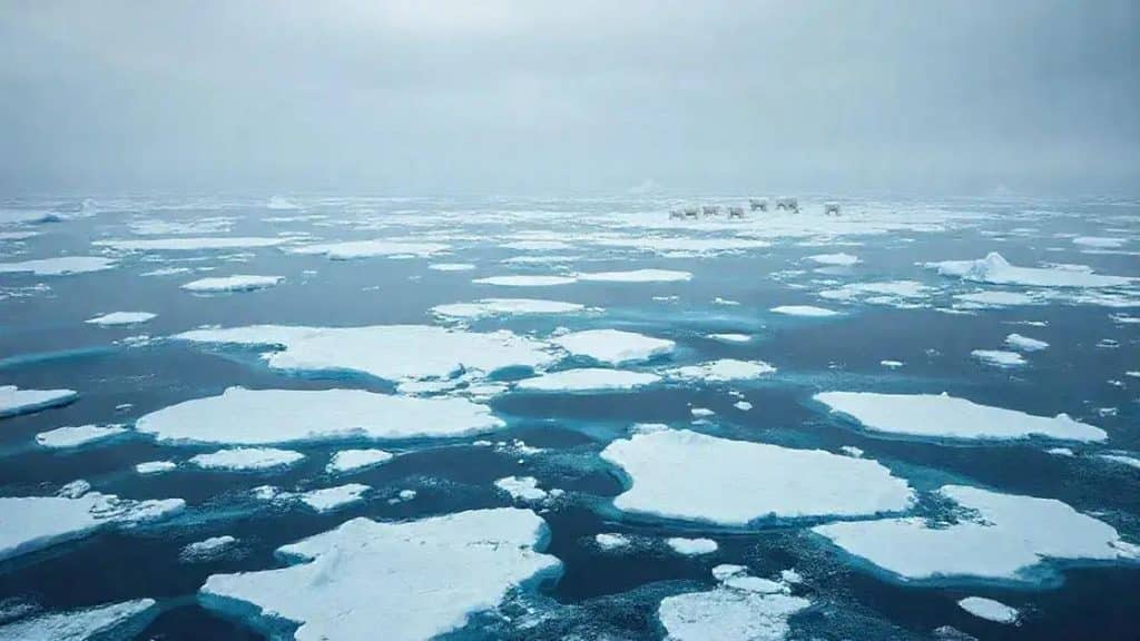 » Arctic sea ice decline trends: what you need to know